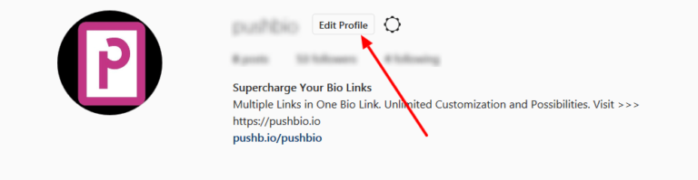 easy-guide-on-how-to-put-a-link-on-instagram-bio-push-bio