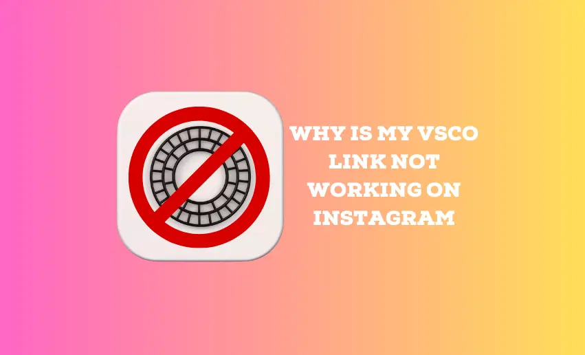 Why Is My VSCO Link Not Working On Instagram Pushbio