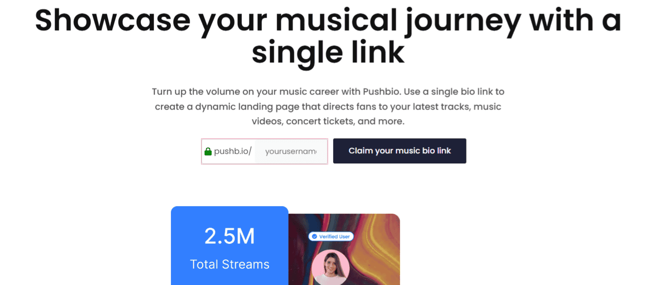 Should You Use Linktree For Your Music? - Pushbio